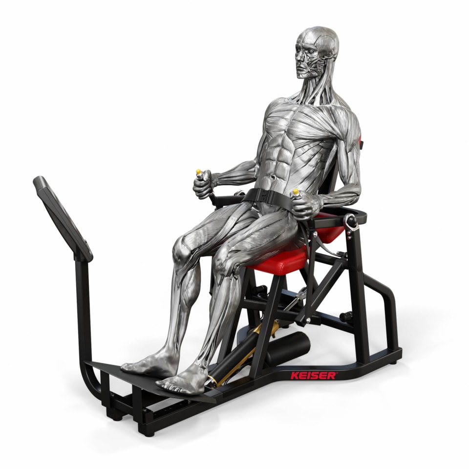 Lower Back Machine - Air250 | Keiser