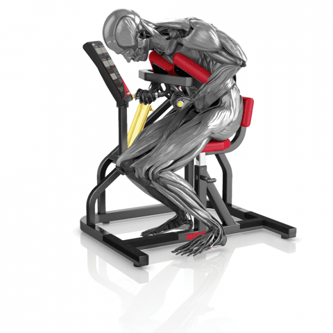 A300 Abdominal | Strength Training | Keiser