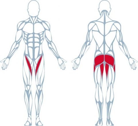 A300 Standing Hip | Strength Training | Keiser
