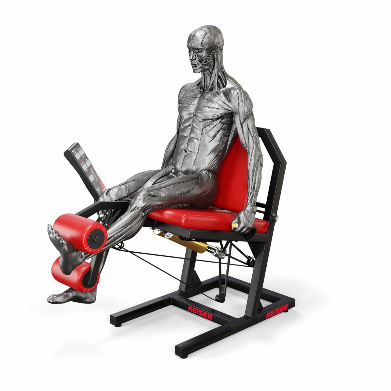 A300 Leg Extension Pro | Commercial Fitness Equipment | Keiser