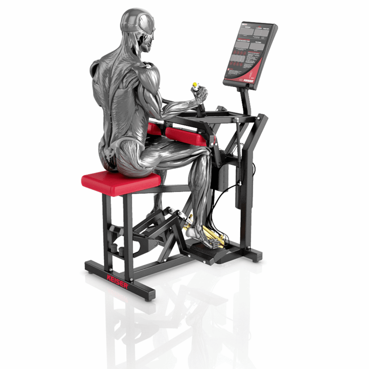 Seated Calf Machine | Strength Training | Keiser